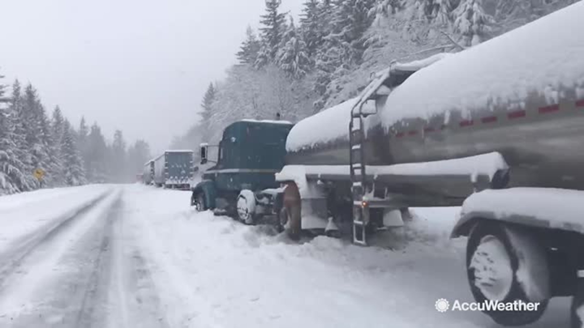 Semi-trucks stuck in the snow line Interstate 90 | cbs19.tv
