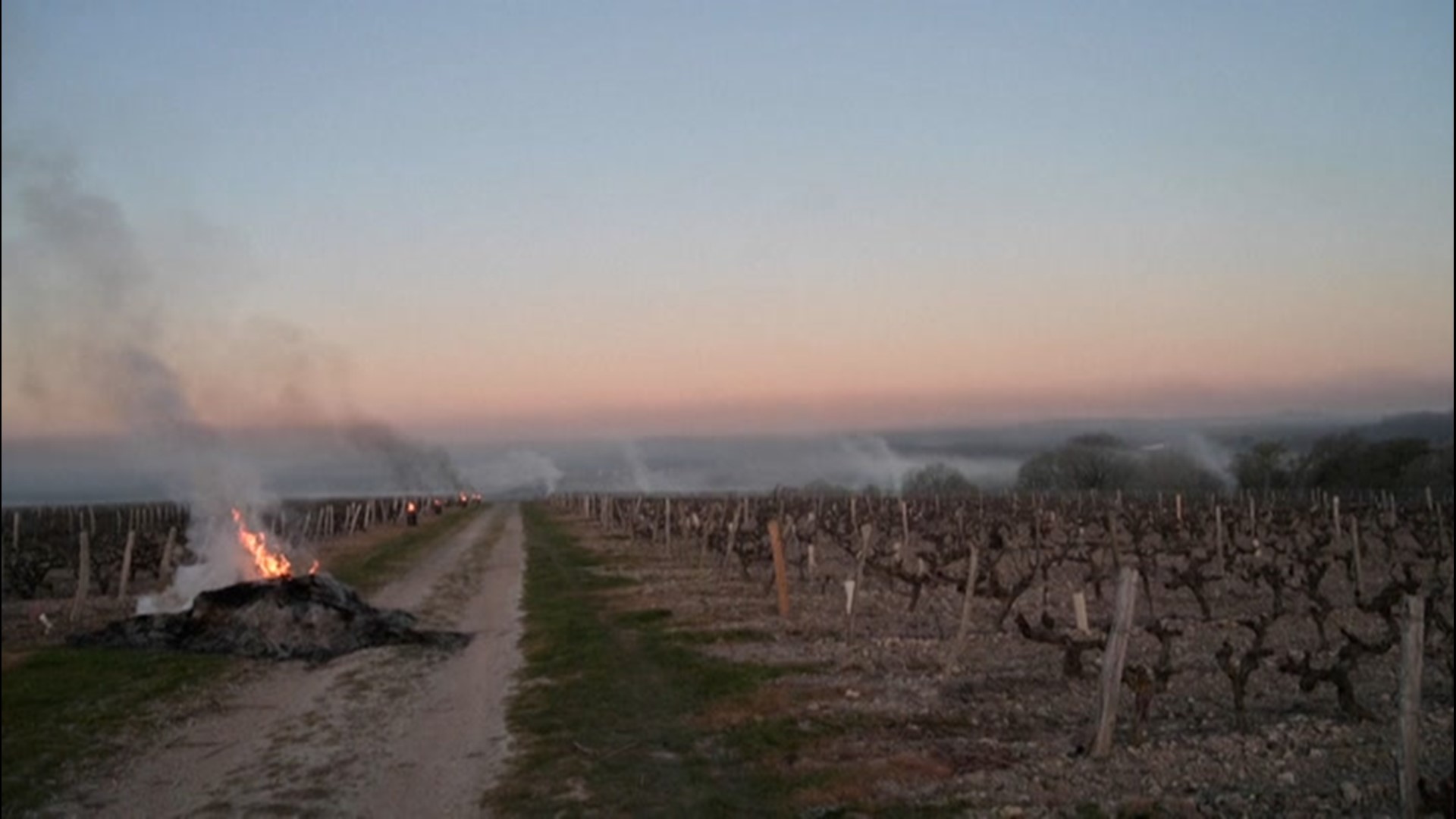 Why one French vineyard owner is lighting fires across his fields ...