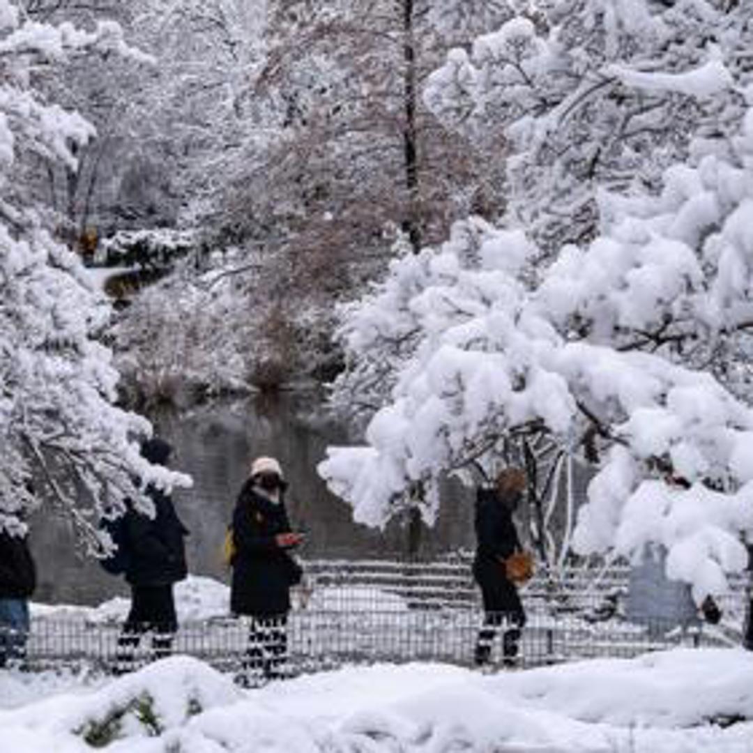 Texas actor Montana Jordan marries Jenna Weeks in weekend wedding ...