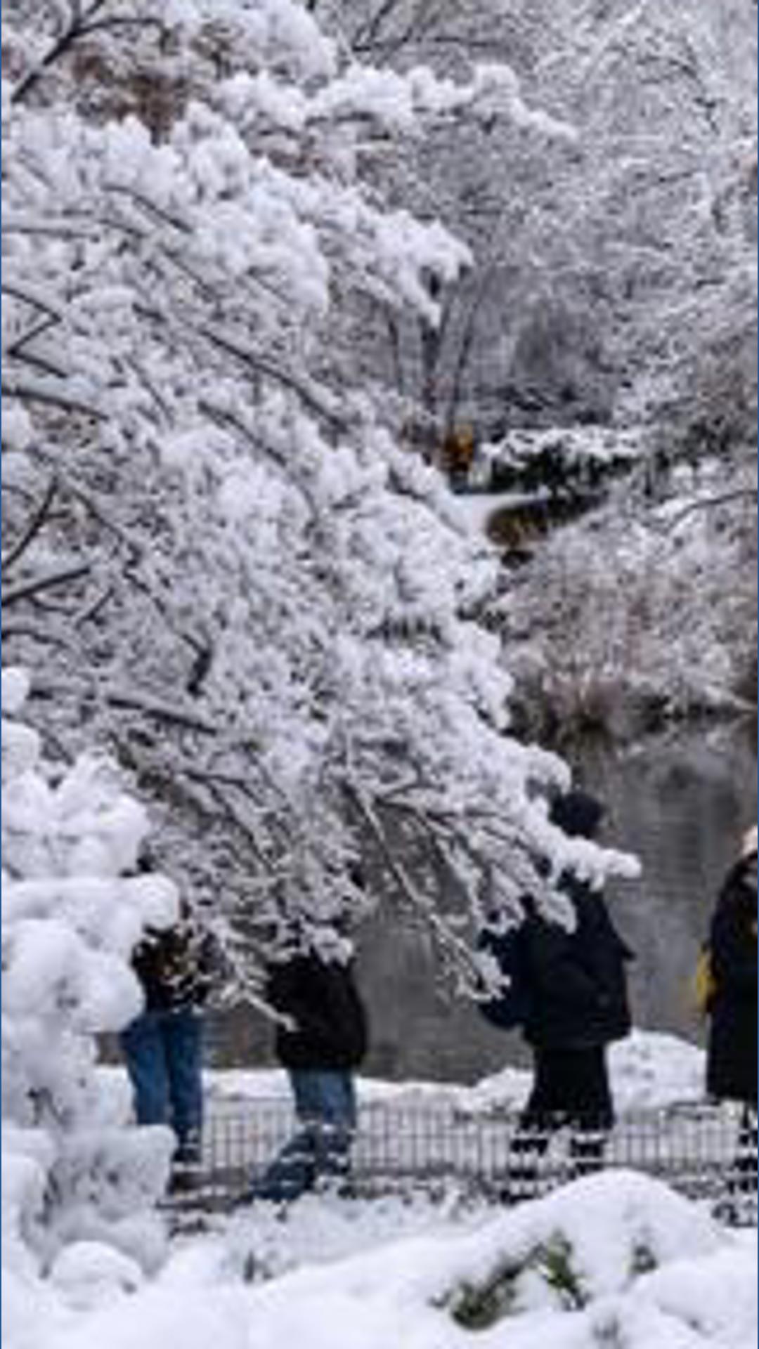 Texas actor Montana Jordan marries Jenna Weeks in weekend wedding ...