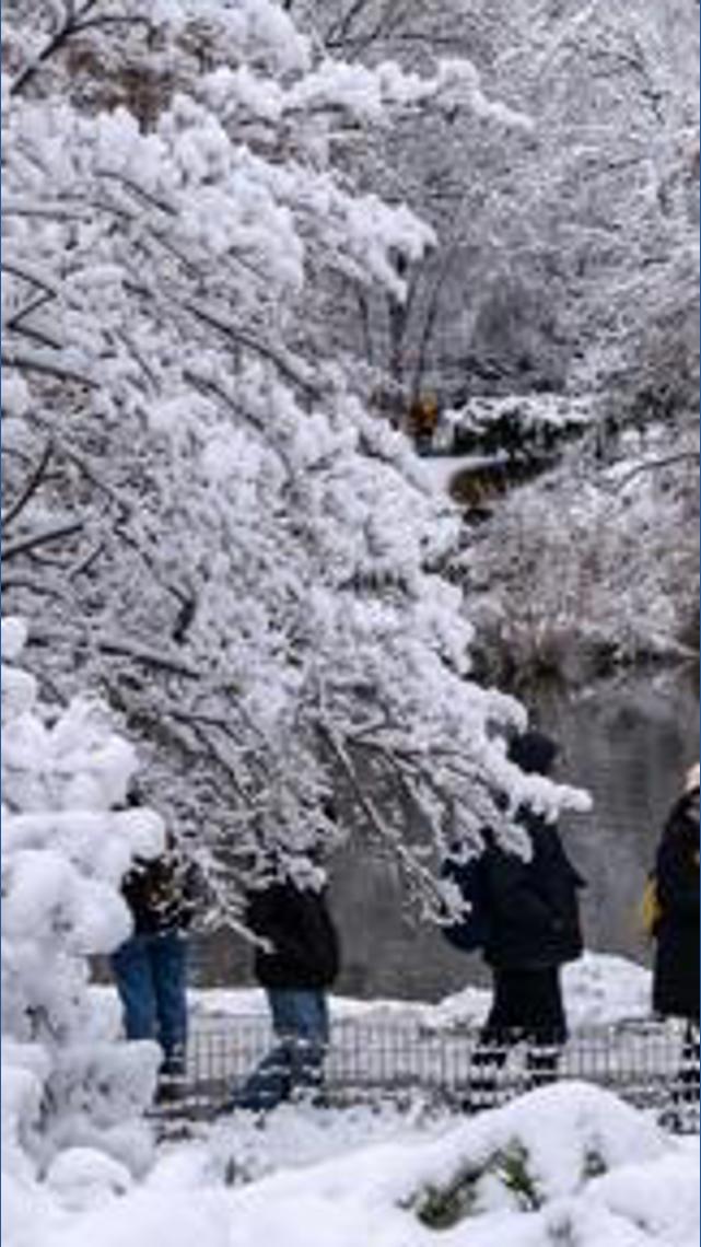 Texas UIL releases 2026-2028 reclassification and realignment figures ...