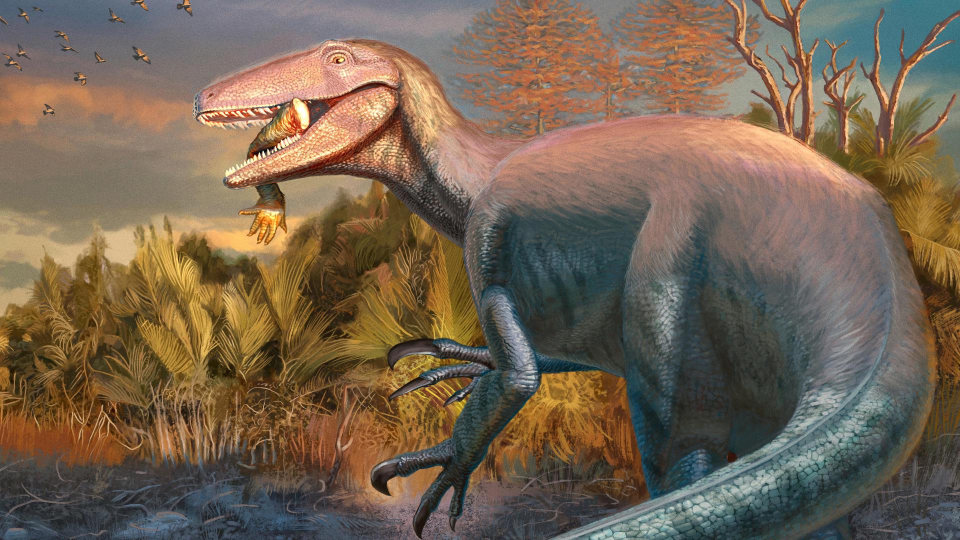 New dinosaur discovery reveals fierce megaraptoran predator | cbs19.tv