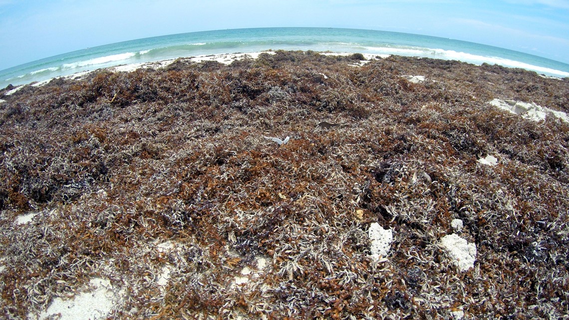 Worst Beaches In Florida