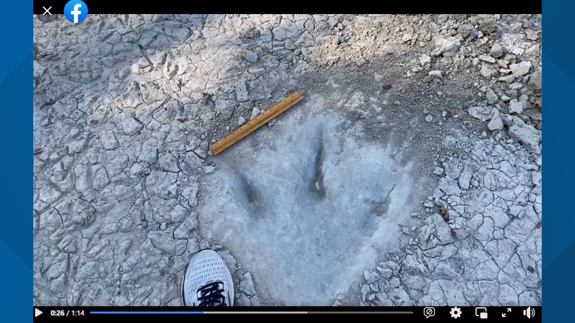 Dinosaur Valley State Park reveals large dinosaur tracks in river ...