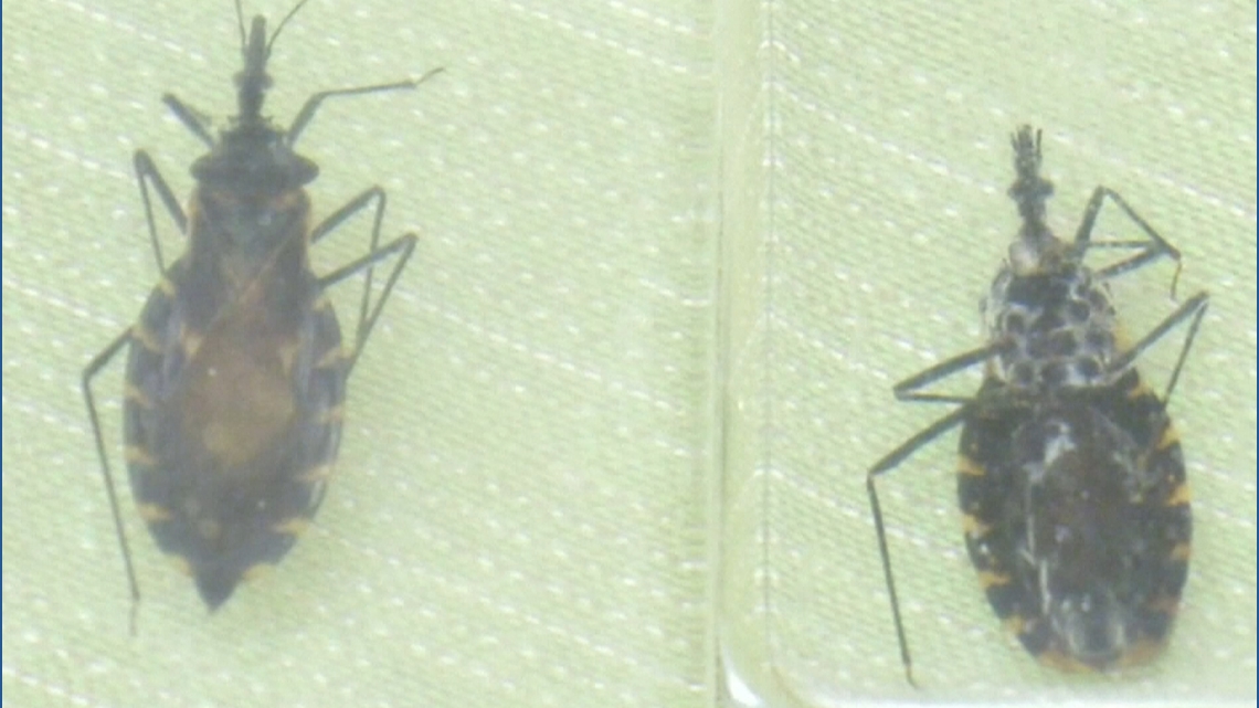 UT Tyler announces Cowan Center's 2025-26 season including actor Rob ...