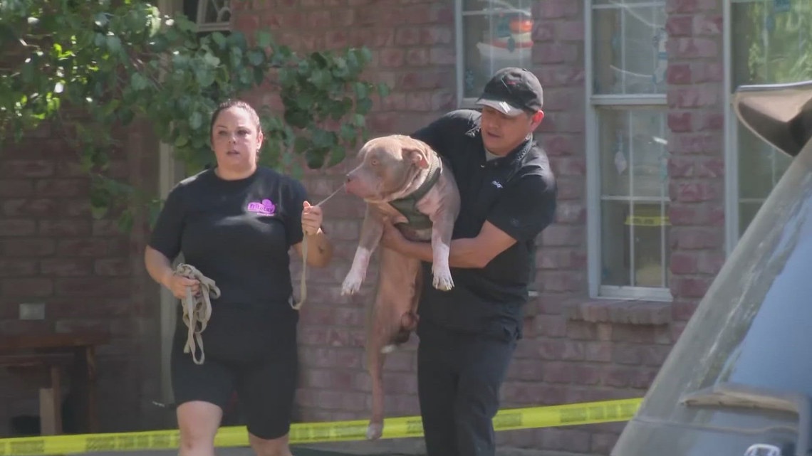 Texas sheriff promises justice after baby is killed by dogs | cbs19.tv