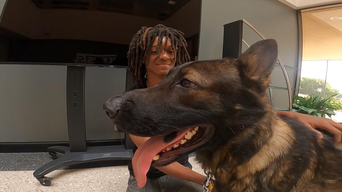 Tyler's Leading Local News: Weather, Traffic, Sports and more | Tyler ...