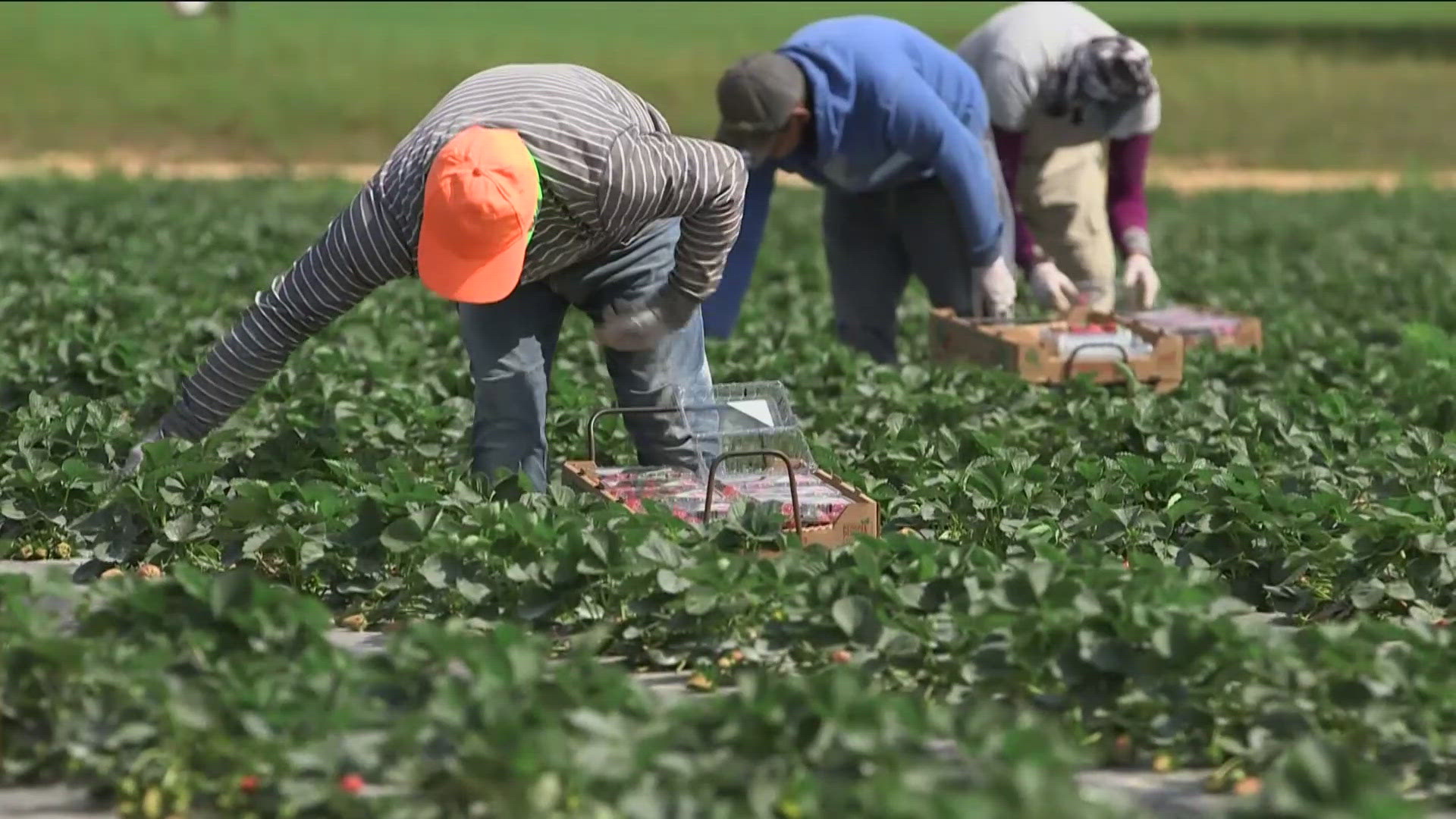 2025 celebrity deaths so far: See the list of those we've lost this ...