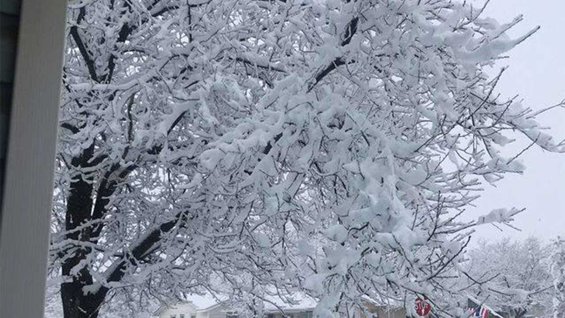 Texas snow photos and video: Scenes from winter weather | cbs19.tv