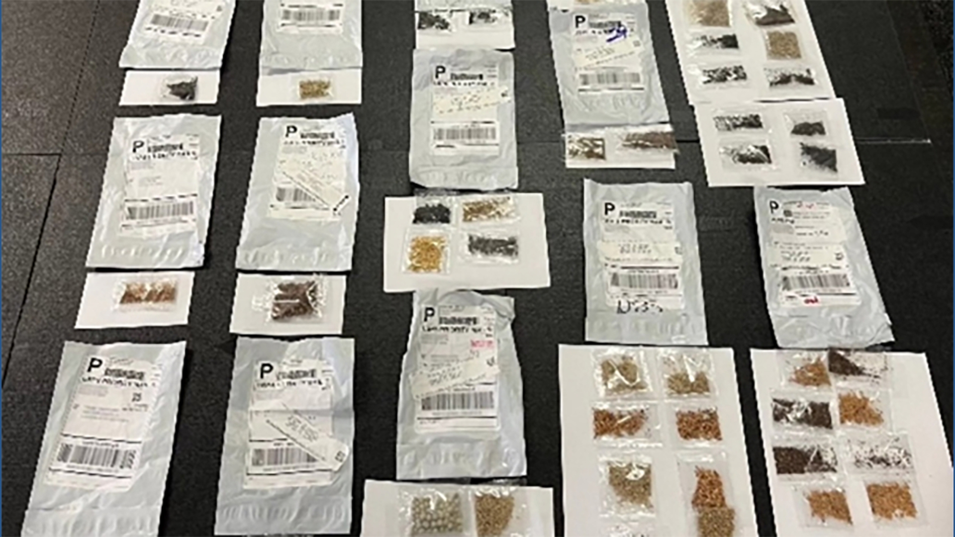 Texas warns of mystery seeds being sent through mail | cbs19.tv
