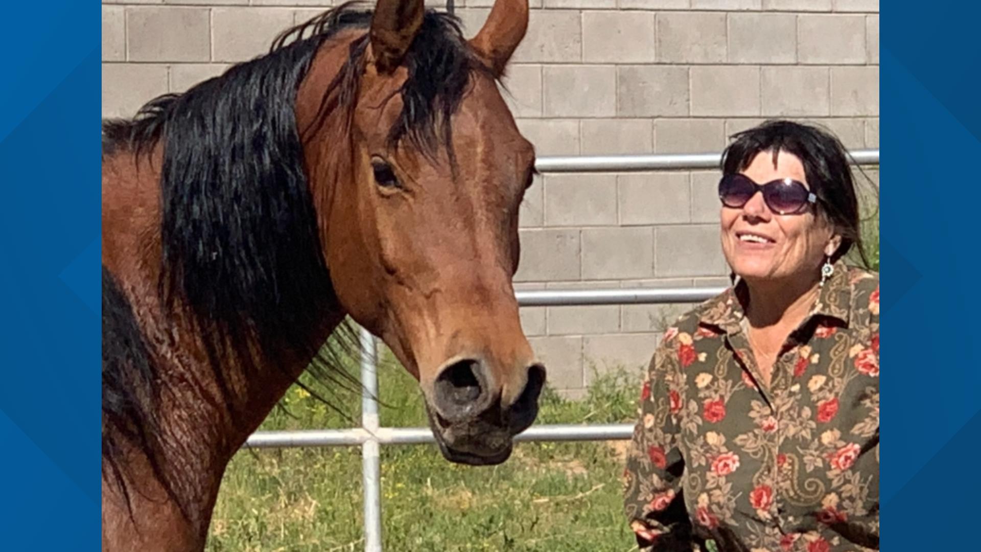 Arizona flight attendant fatally stabbed during indiscriminate attack ...