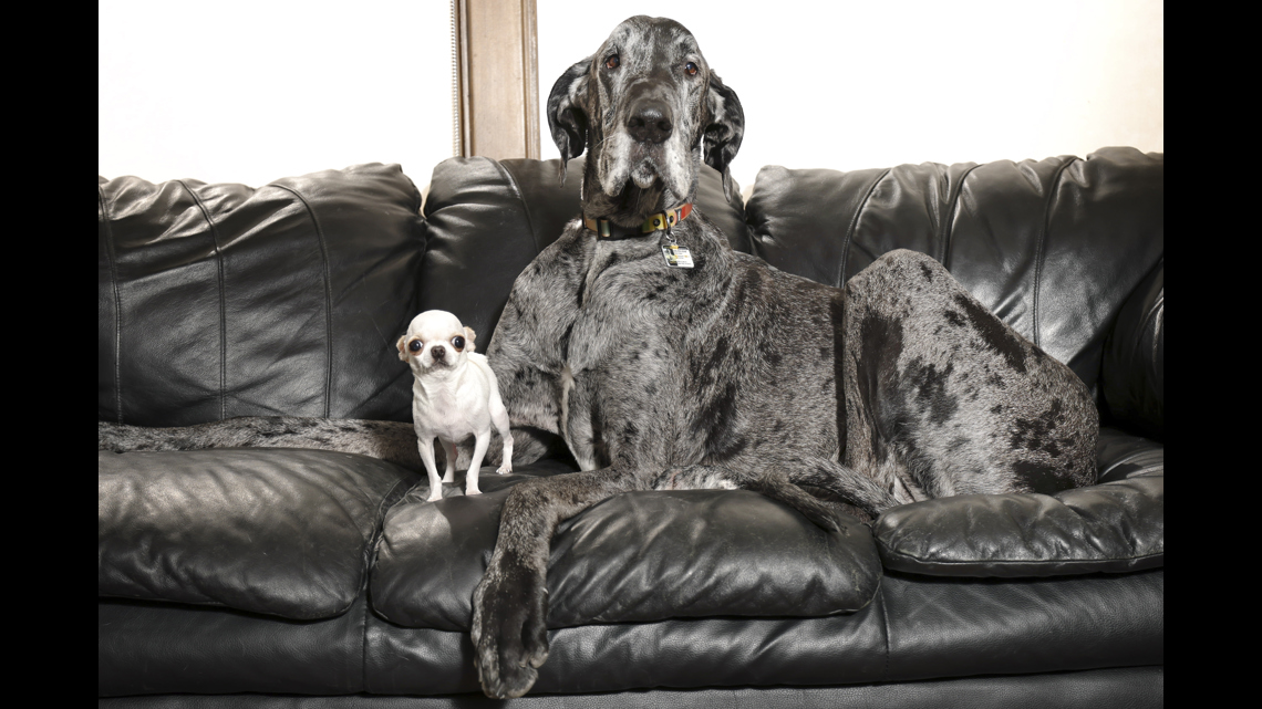 Cults, controversy and kidnapping: The Kelly Wilson case | cbs19.tv