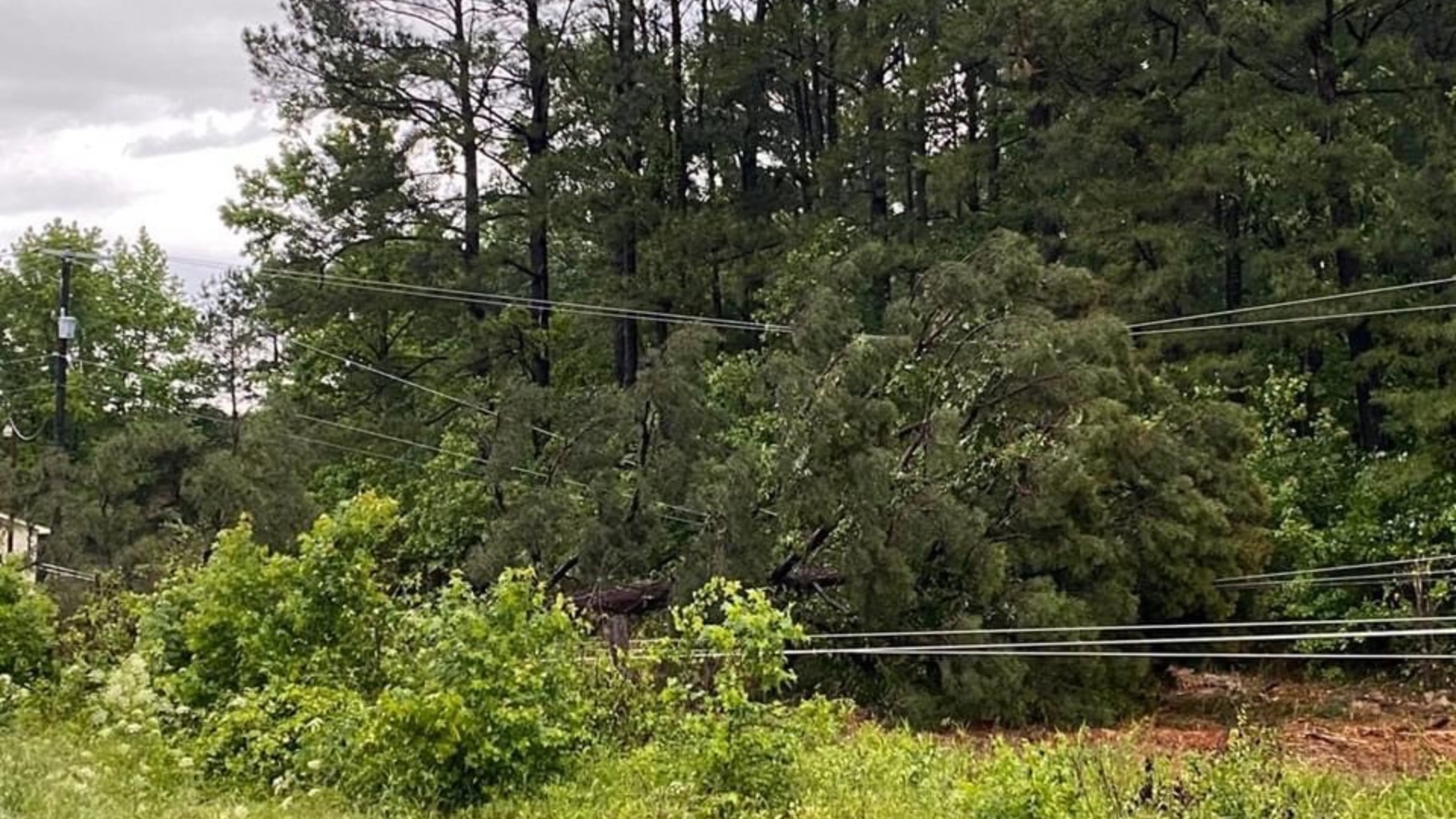 PHOTOS: Storm damage reported across East Texas | cbs19.tv