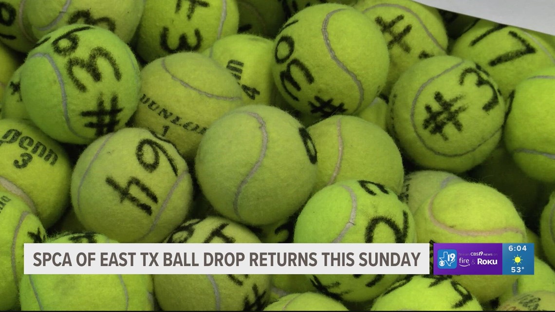 SPCA of East Texas to host New Year's Eve Ball Drop | cbs19.tv