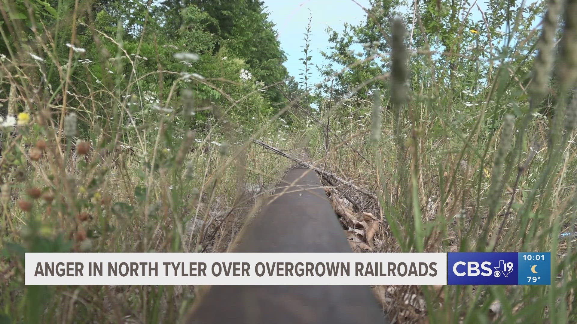 Tyler Hourly Weather Forecast | Tyler, Texas | cbs19.tv