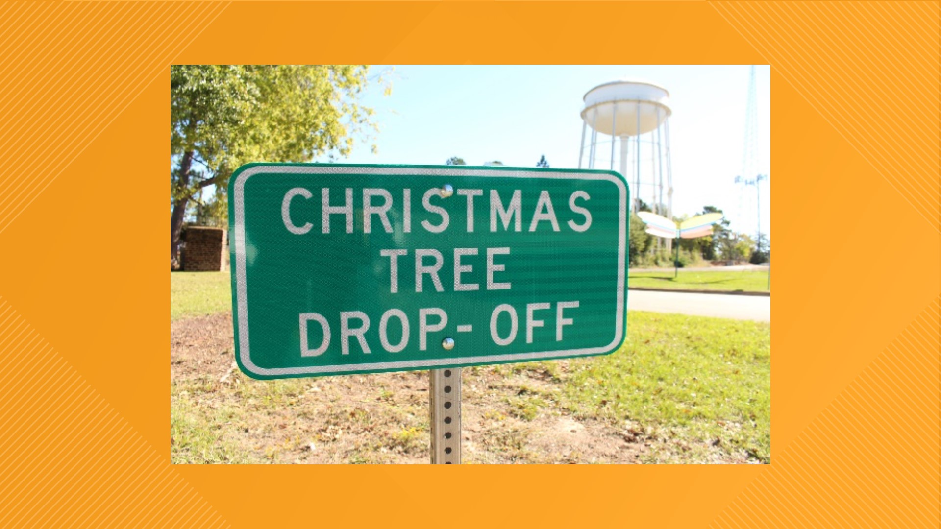 Tyler recycles Christmas trees to build habitat for fish | cbs19.tv