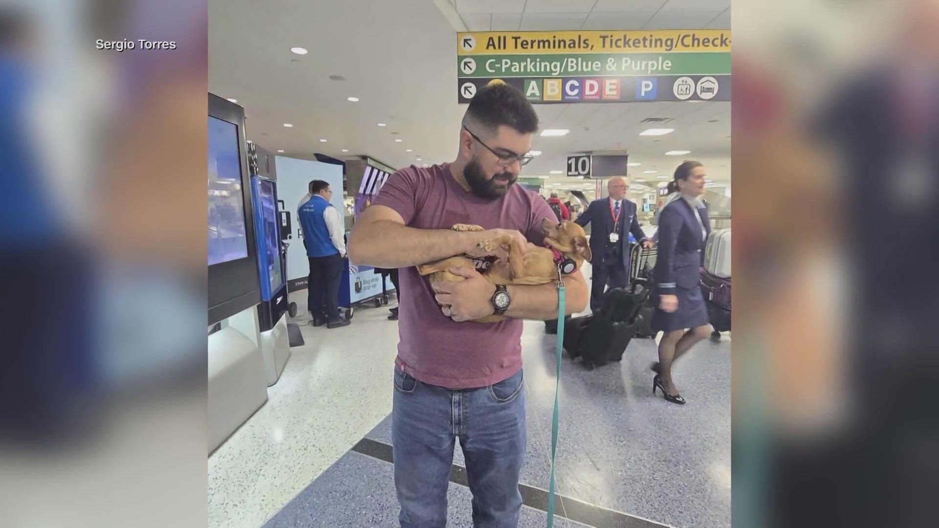 About 200 Texas A&M courses could change due to new restrictions on ...