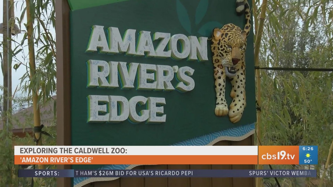 Exploring the Caldwell Zoo - A sneak peek at Amazon River's Edge | cbs19.tv