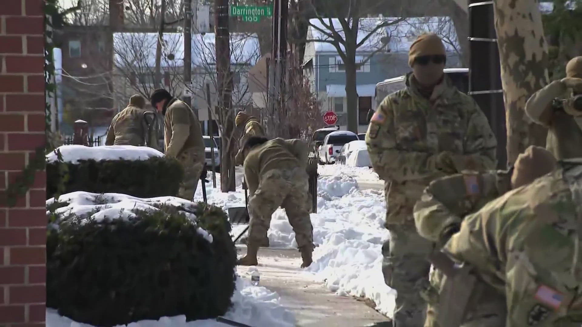 Dog Show 101: What to know about the 150th Westminster show | cbs19.tv