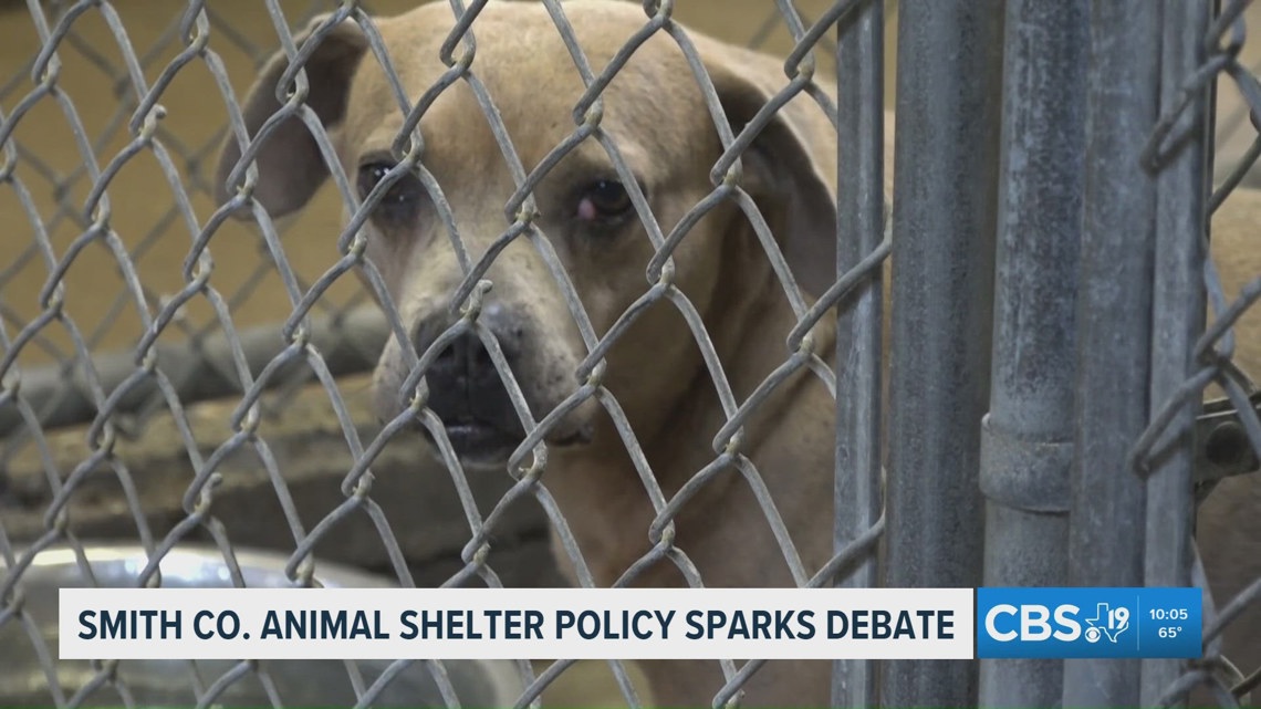 Smith County animal shelter policy changes spark debate with rescue ...
