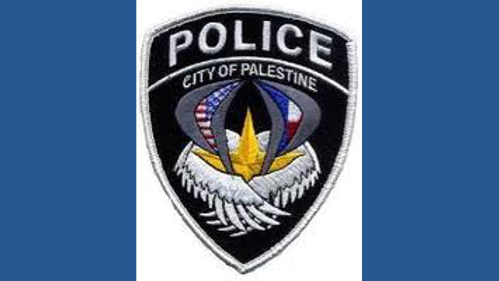 POLICE: Convicted felon arrested with drugs, firearms and body armor in ...
