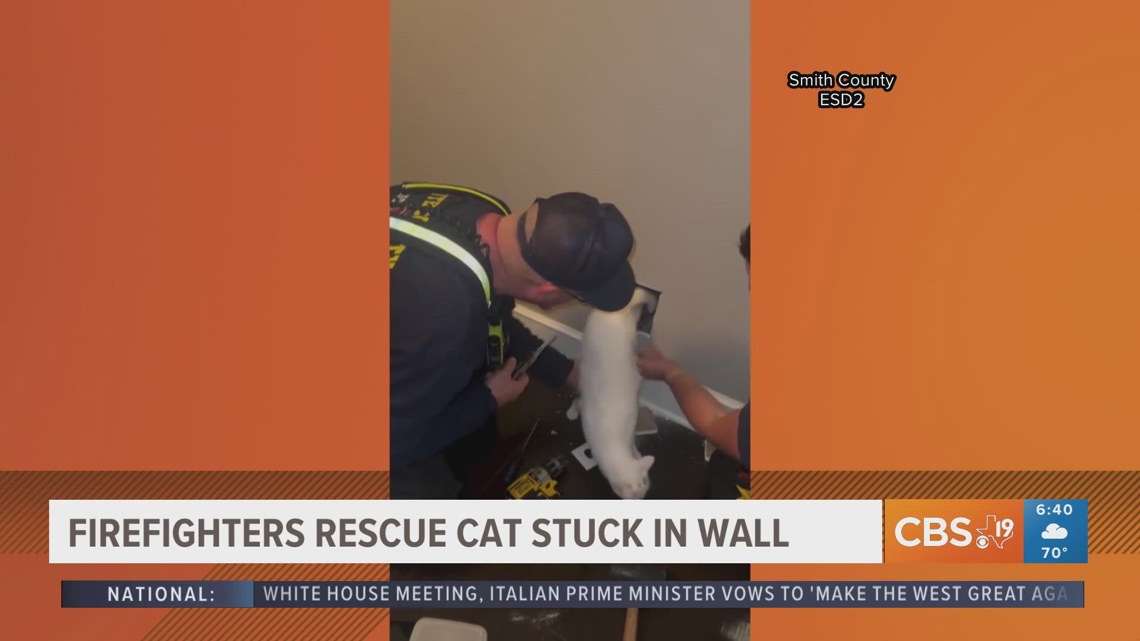 Firefighters Rescue Cat Stuck In Wall Cbs19tv 6983