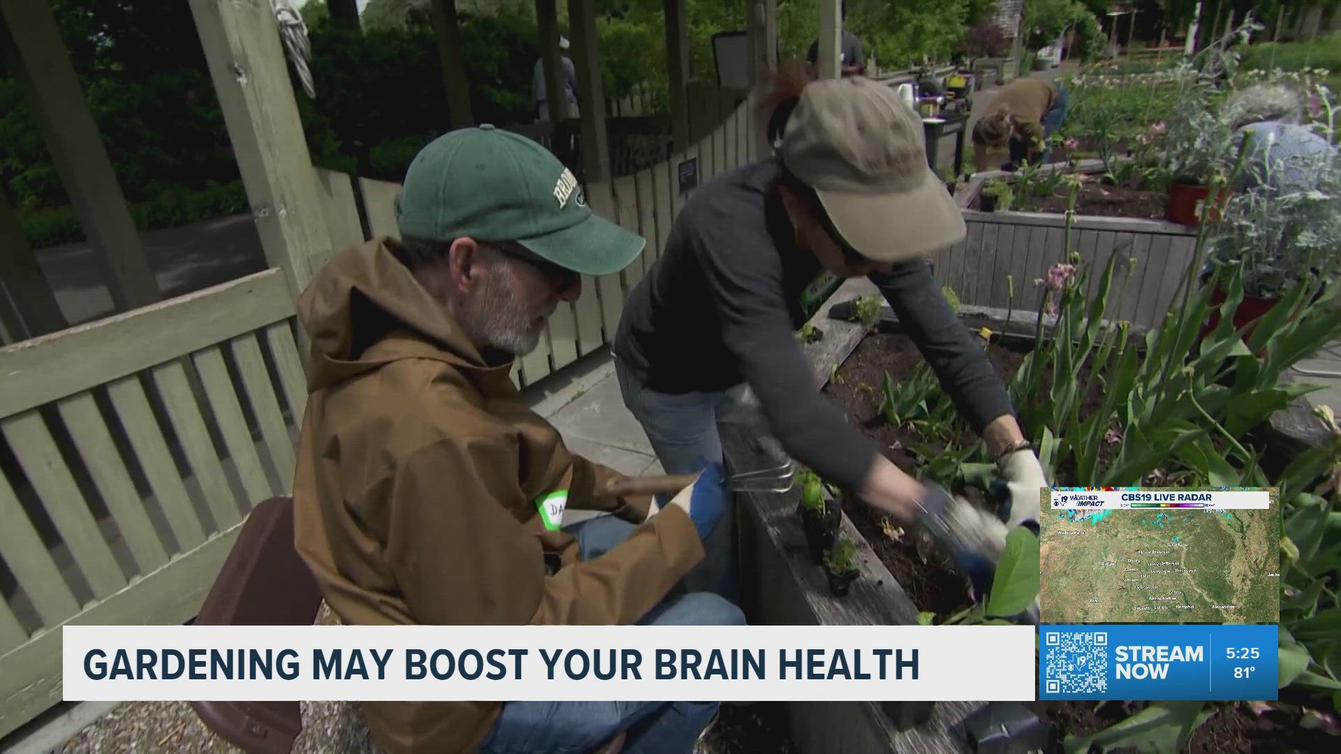 Study suggests gardening may improve cognitive health and memory | cbs19.tv