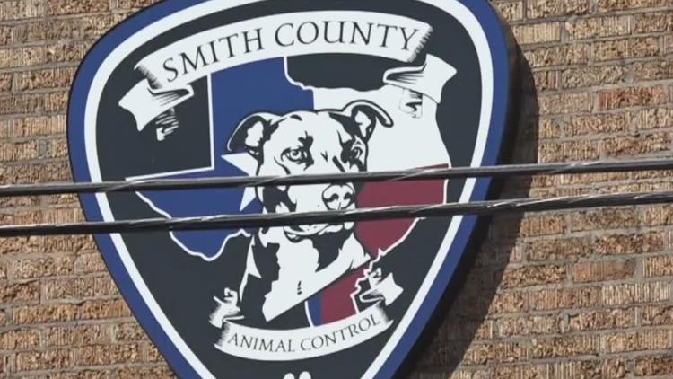 Smith County Animal Shelter achieves over 92% live release rate for May ...