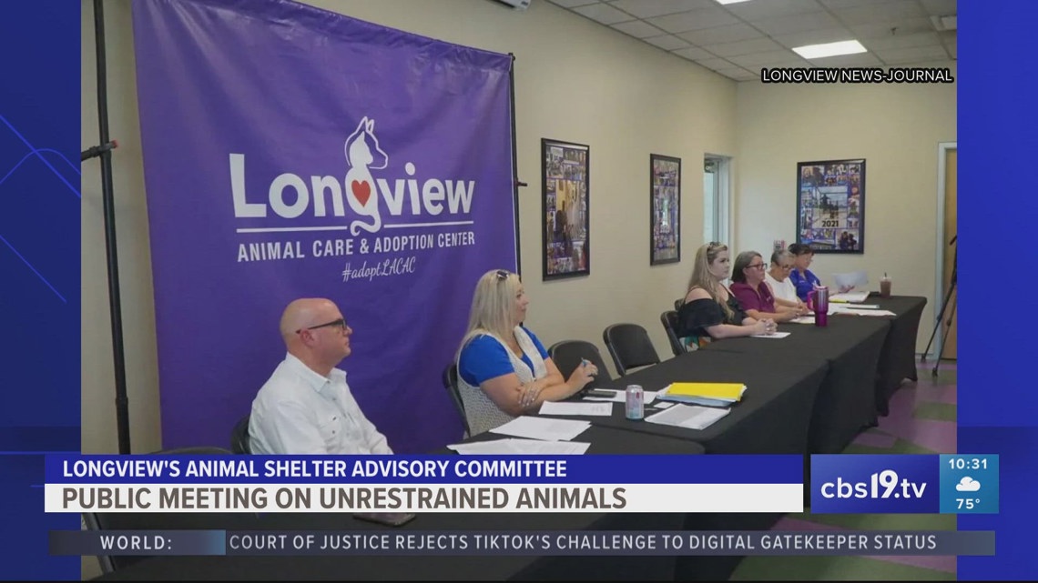 Advisory committee, community members address loose animals | cbs19.tv