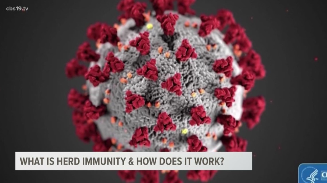 What is herd immunity and how does it work? | cbs19.tv