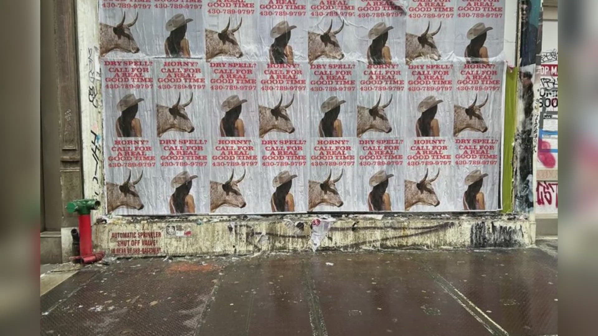 Fans spot posters hinting at new Kacey Musgraves music with mystery ...