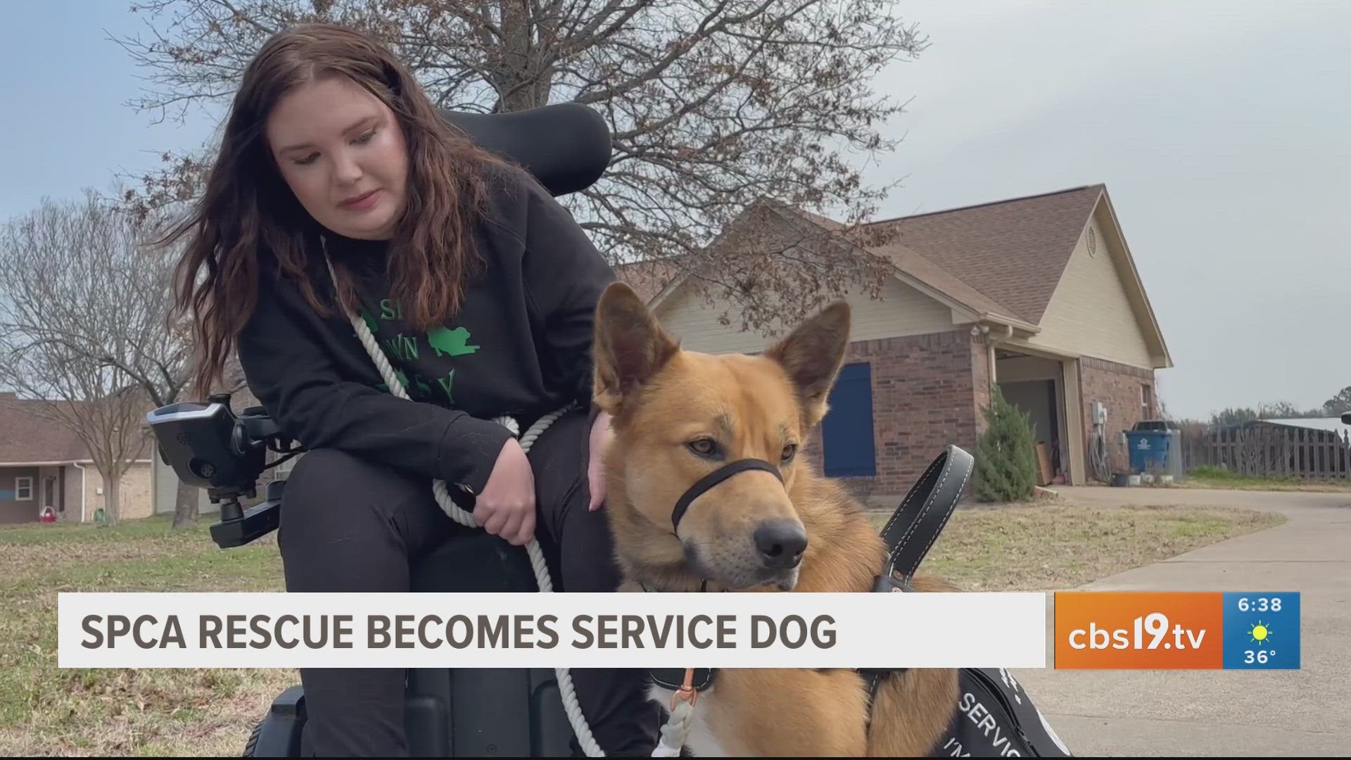 Rescue dog becomes 'hero' to East Texas woman with diabetes | cbs19.tv
