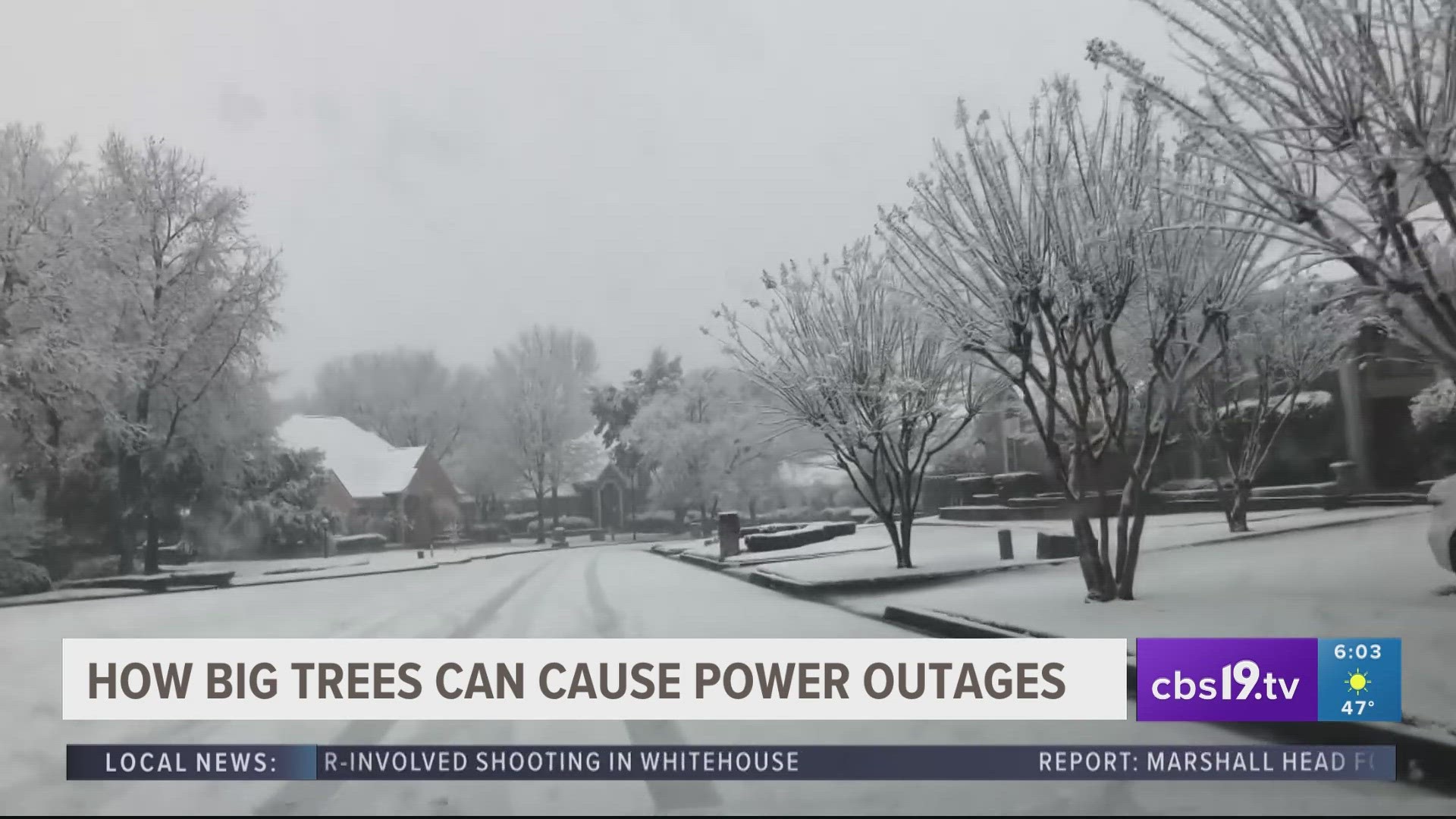 Tall trees cause power outages in East Texas during storms | cbs19.tv