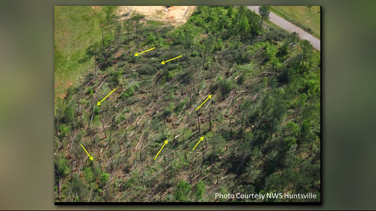 WHAT'S THE DIFFERENCE: Straight-line winds vs. Tornadoes | cbs19.tv