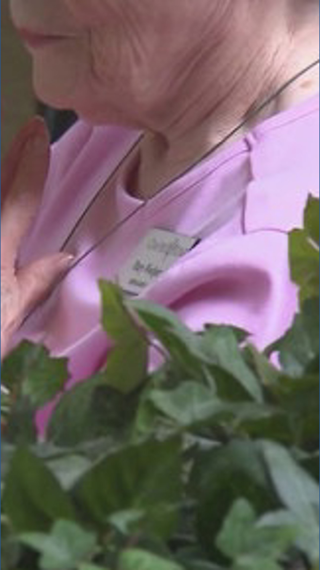 New year changes take effect that could impact Social Security ...