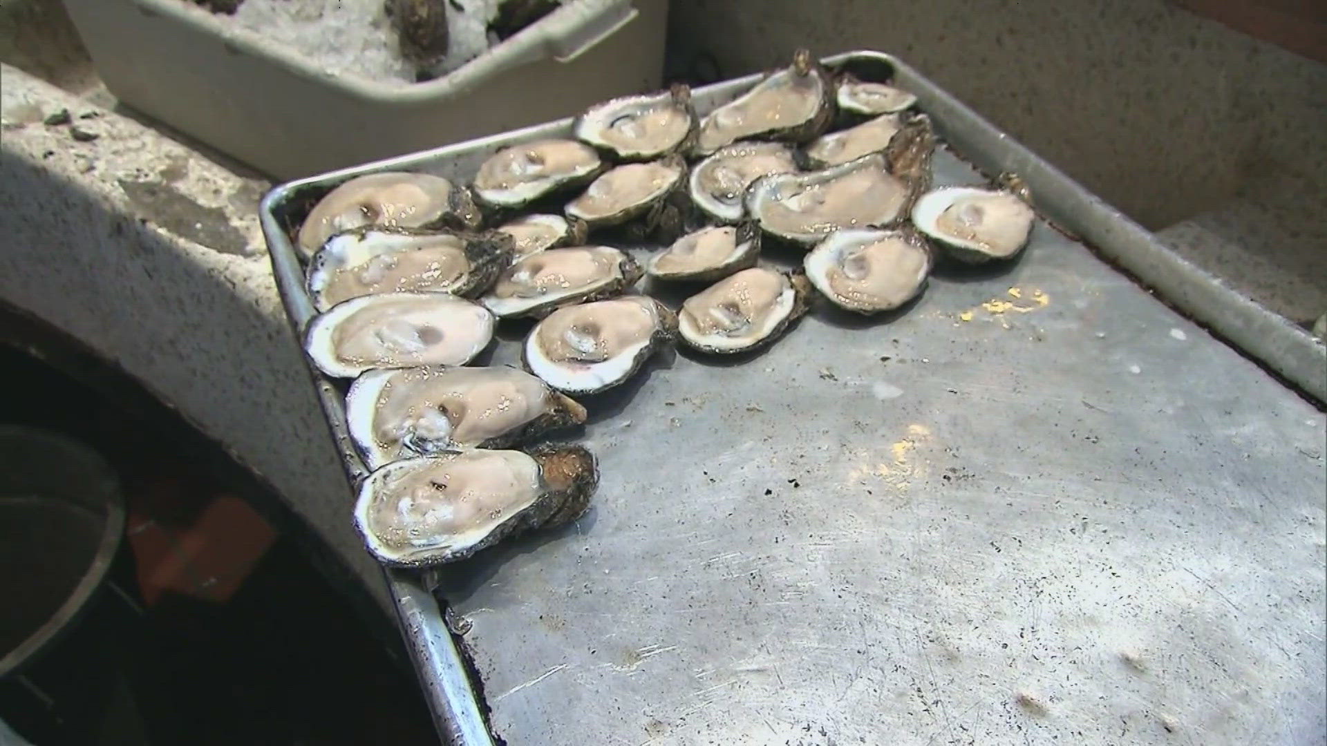 Salmonella cases linked to raw oysters in 22 states, including Texas ...