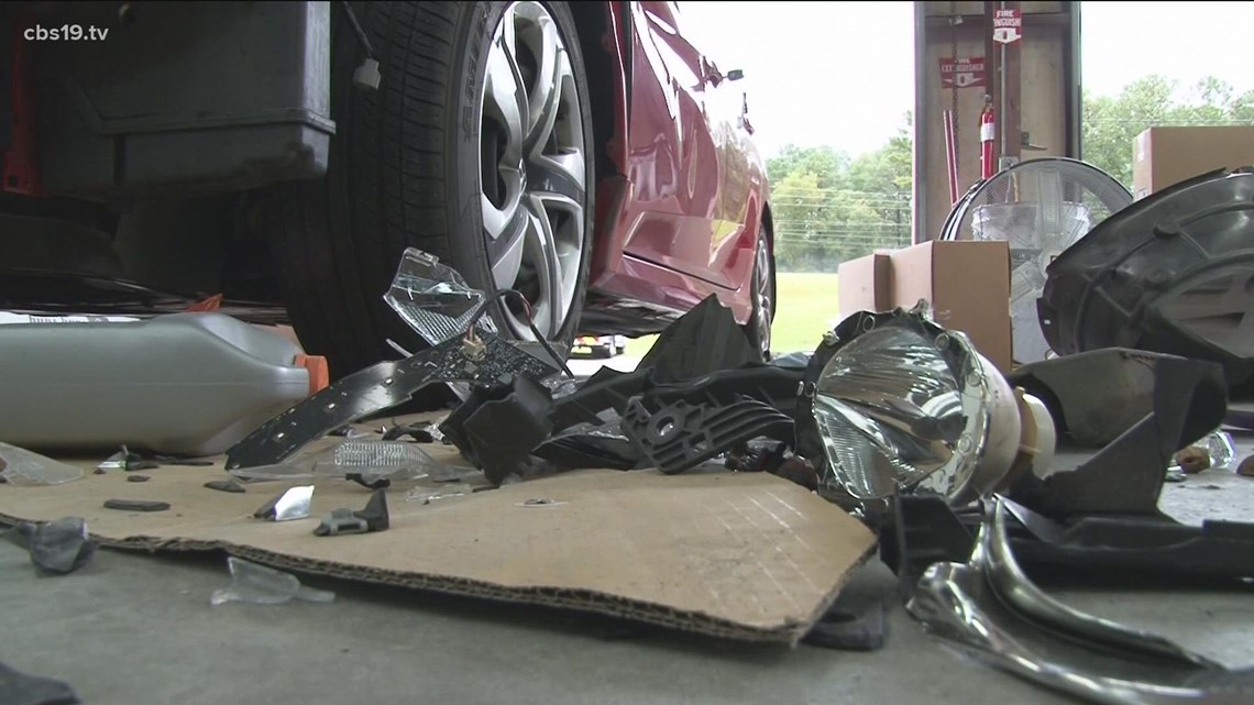 Avoiding animal-vehicle collisions | cbs19.tv