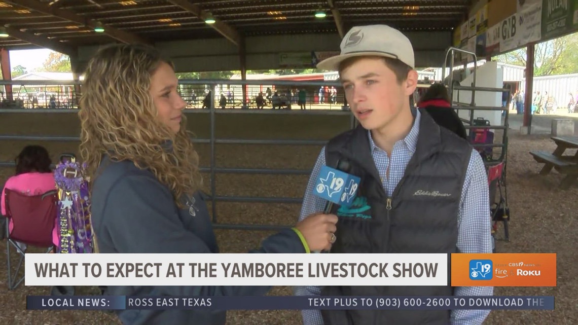 CBS19 shares to expect at Gilmer's East Texas Yamboree Livestock Show ...
