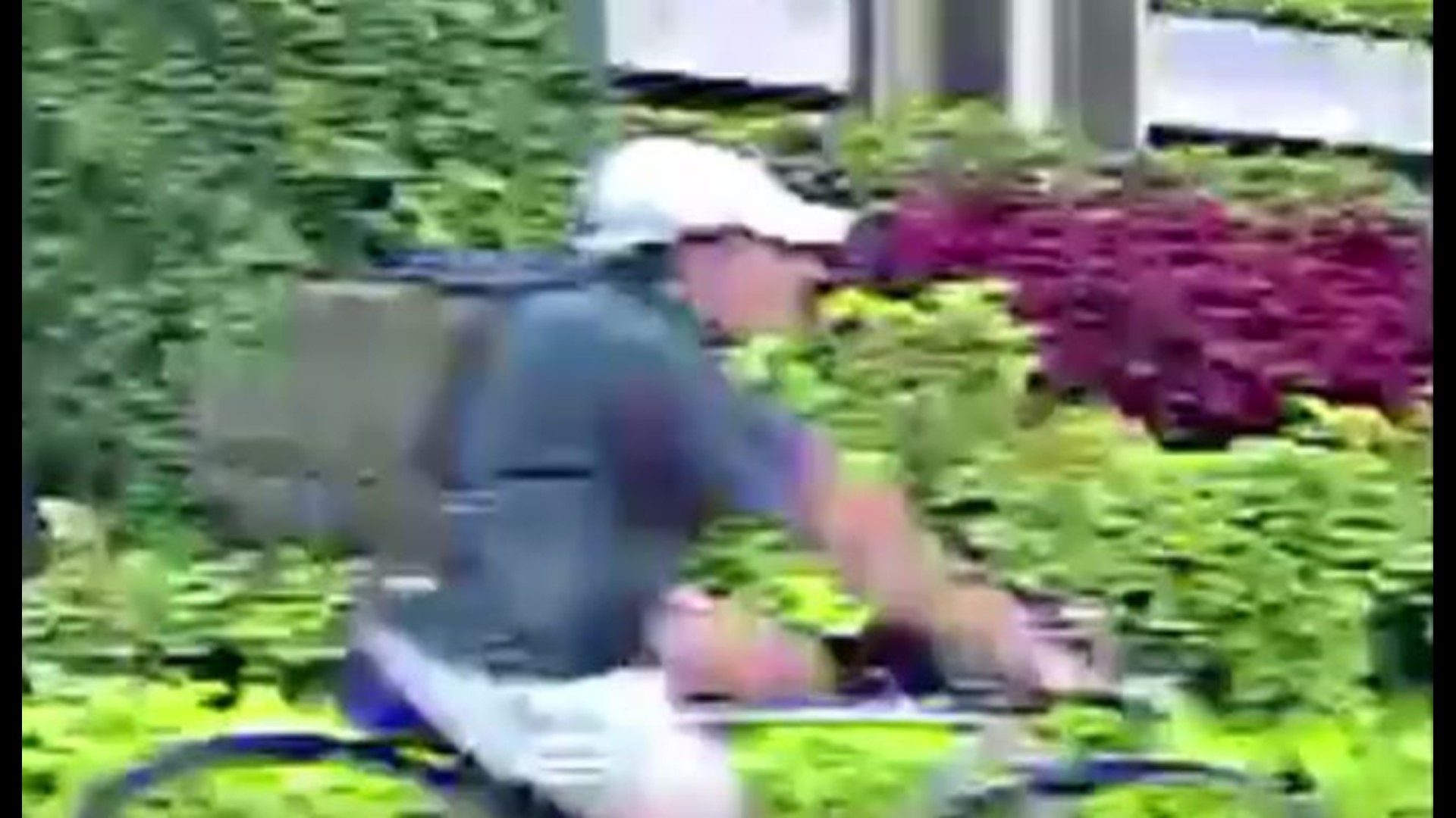 Joseph Pappas shot, killed himself during encounter with police | cbs19.tv