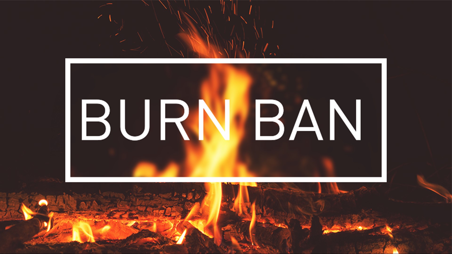 UT TYLER: 'Swoop the Eagle' will remain mascot | cbs19.tv