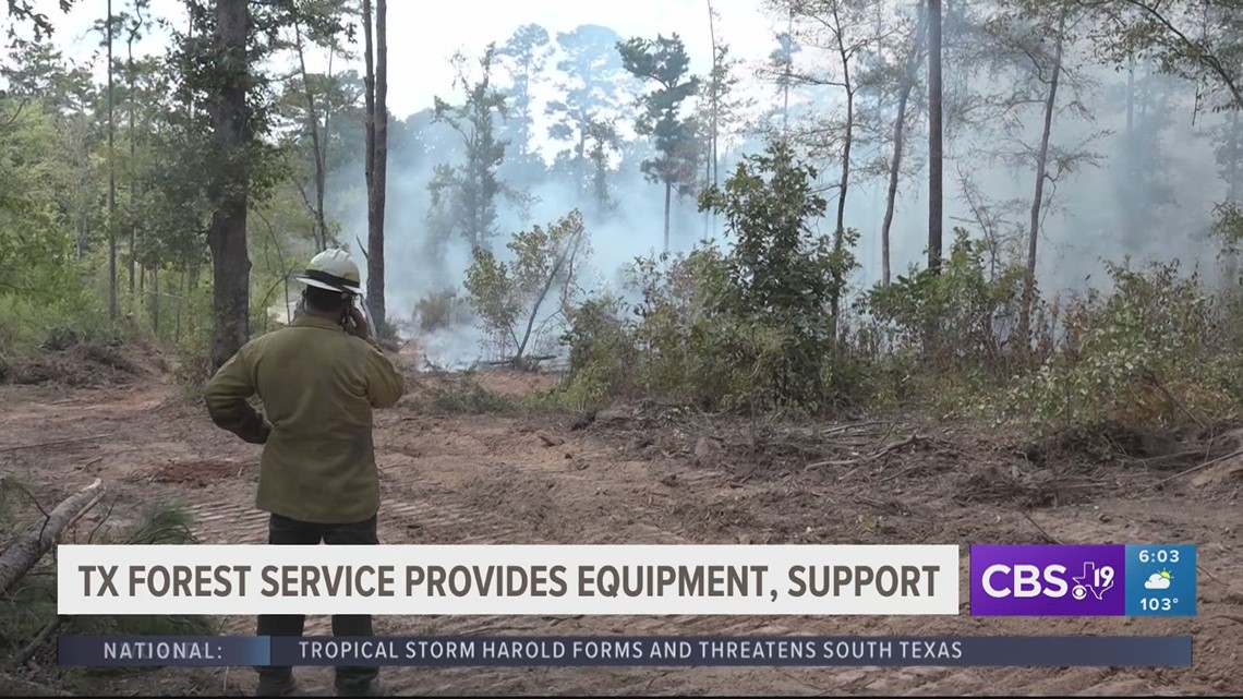 Texas A&M Forest Service comes to aid of East Texas | cbs19.tv