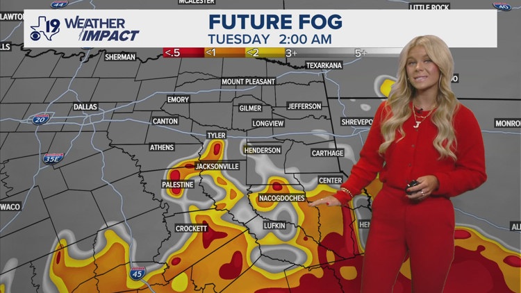 Family seeks to keep Brittany McGlone's story alive 18 years after her ...