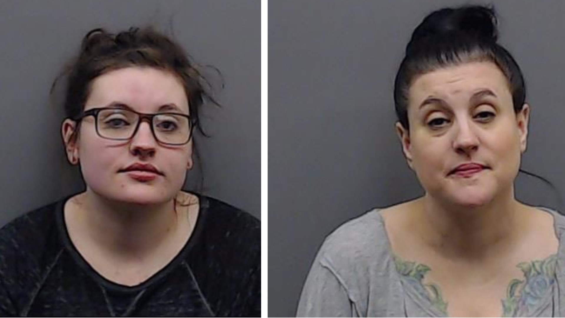 Flint mother, daughter indicted for stalking for allegedly using ...
