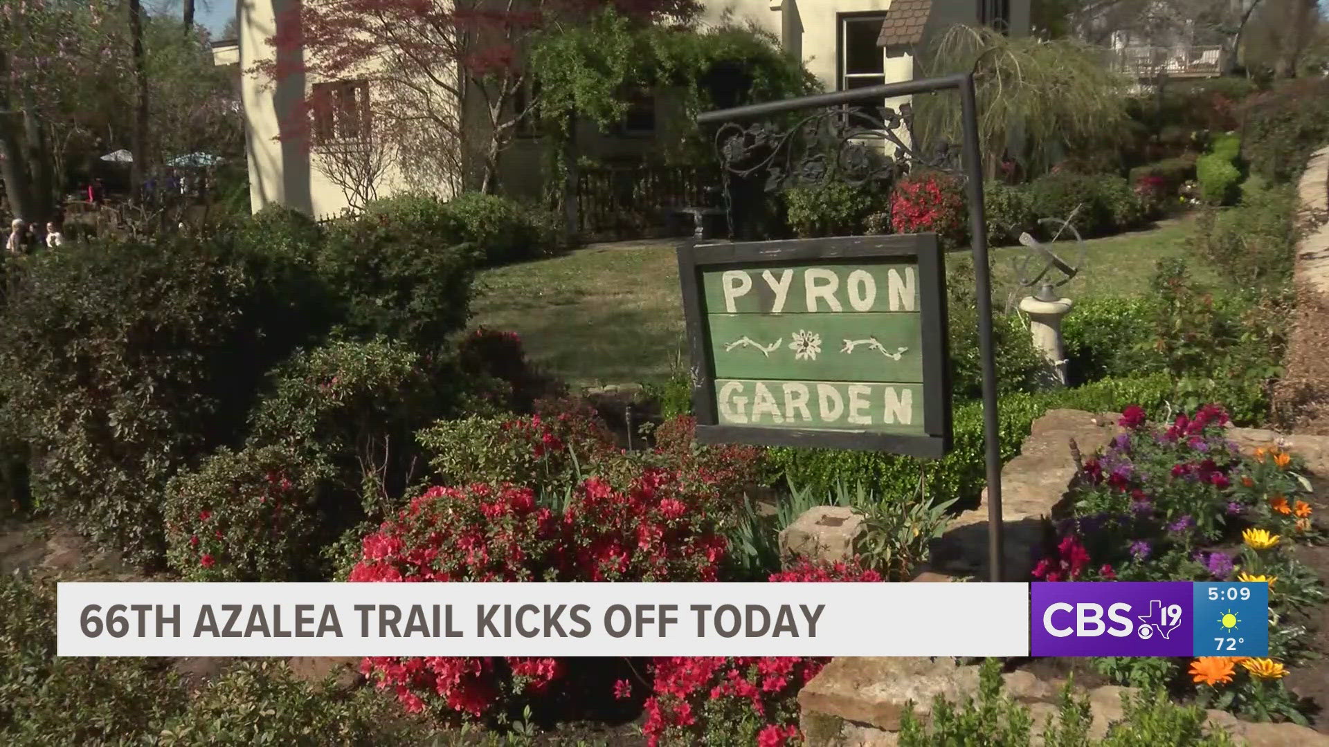 Annual Azalea and Spring Flower Trail kicks off | cbs19.tv