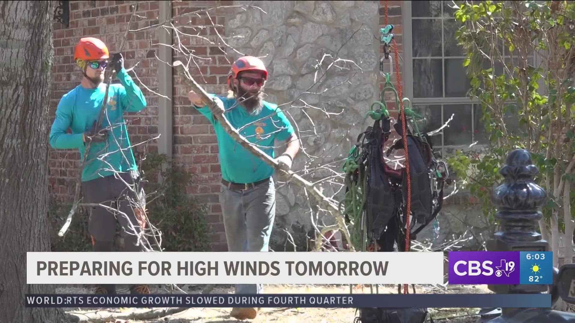 Ahead of wind advisory, local tree services remove damaged limbs | cbs19.tv