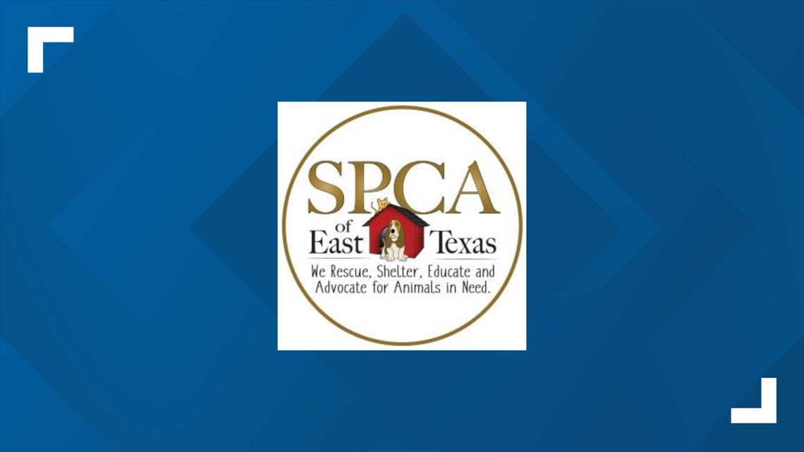 SPCA of East Texas to hold wellness clinics for animals | cbs19.tv