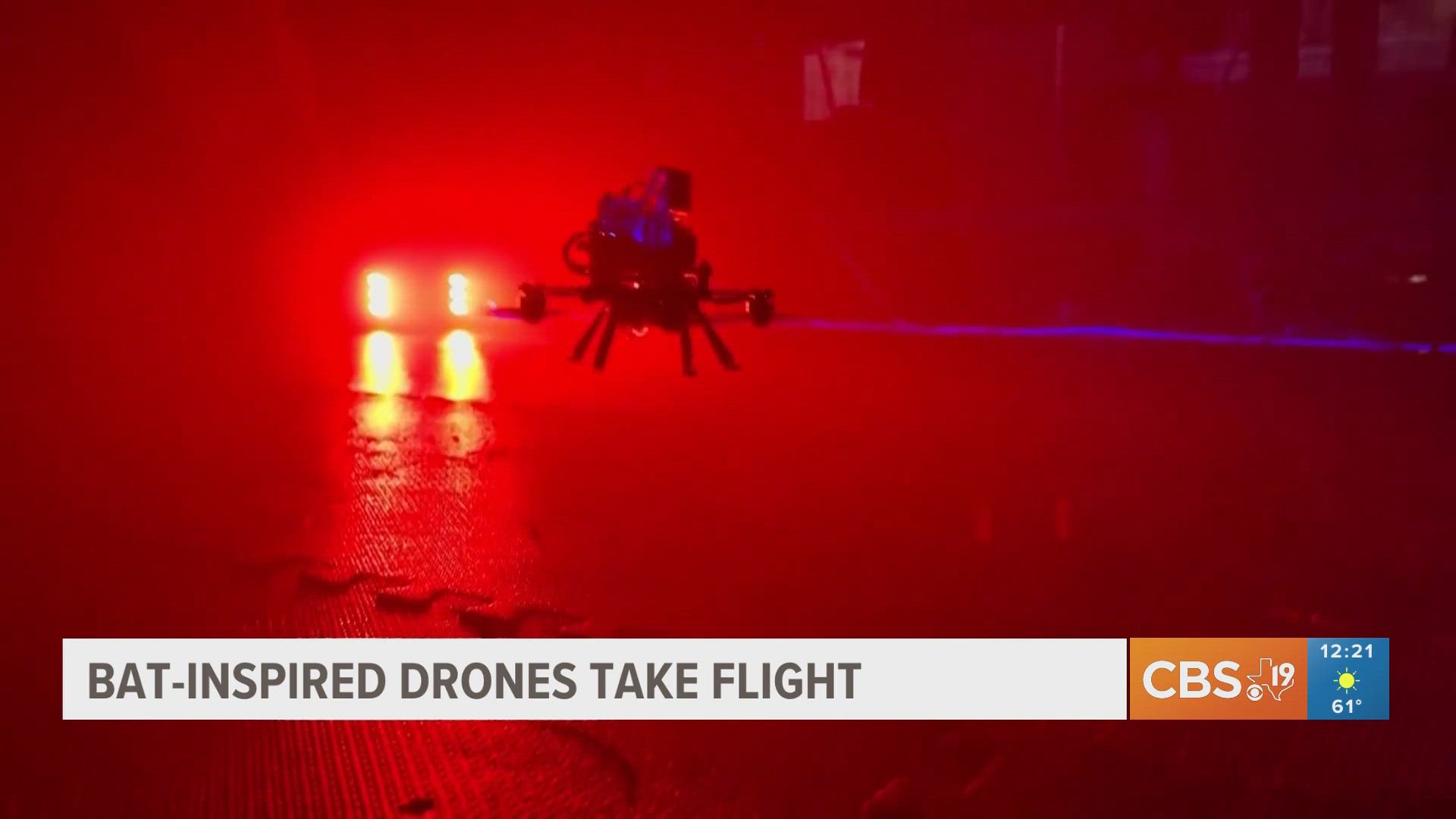 Bat-inspired drones take flight | cbs19.tv