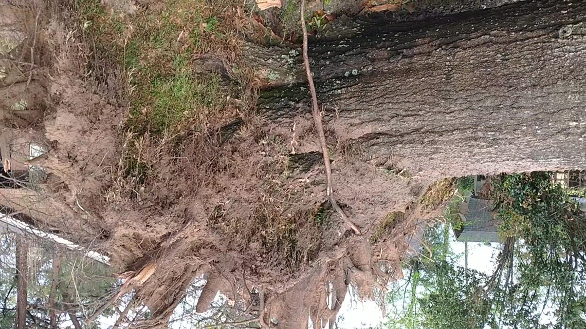 Contact CBS19 KYTX | Tyler, Texas | cbs19.tv