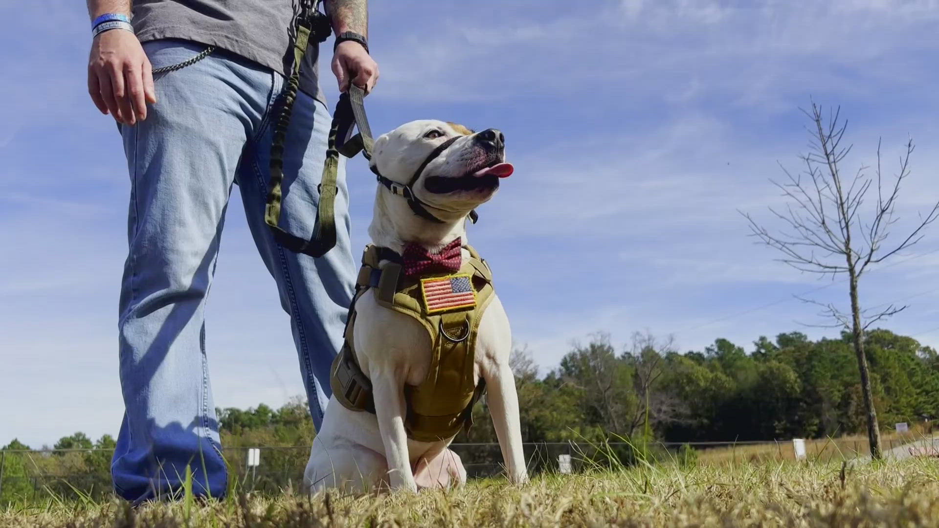Martin House Children’s Advocacy Center marks start of construction on larger Longview facility ...