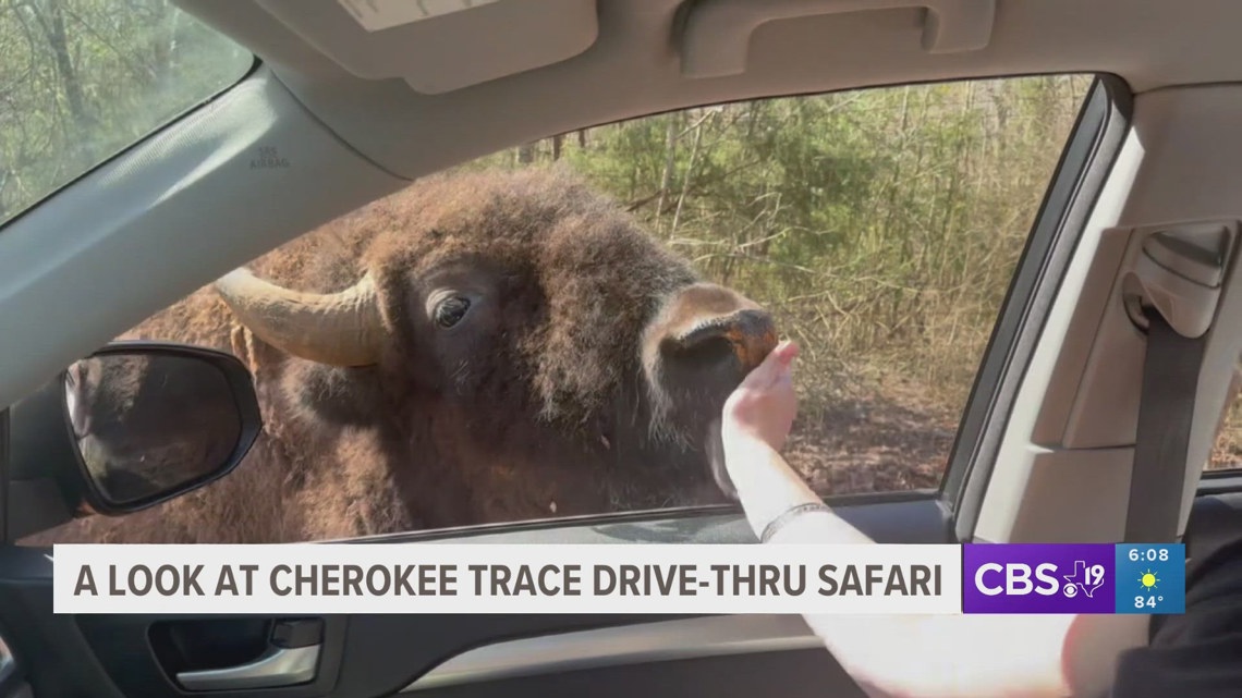 East Texans flock to Cherokee Trace Safari for spring break | cbs19.tv